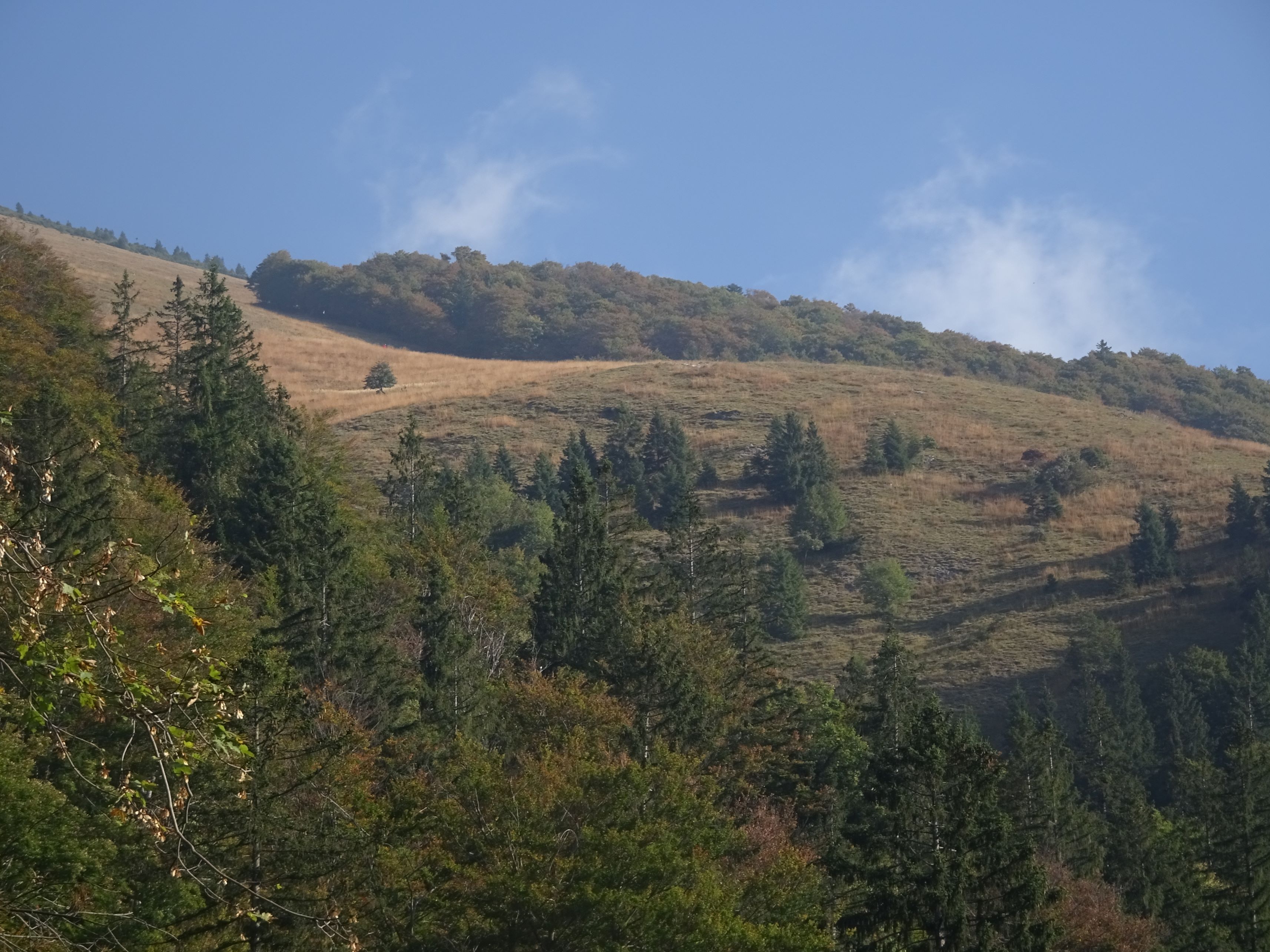 Športna zveza Šoštanj | Zaplata skozi Hudičev Boršt